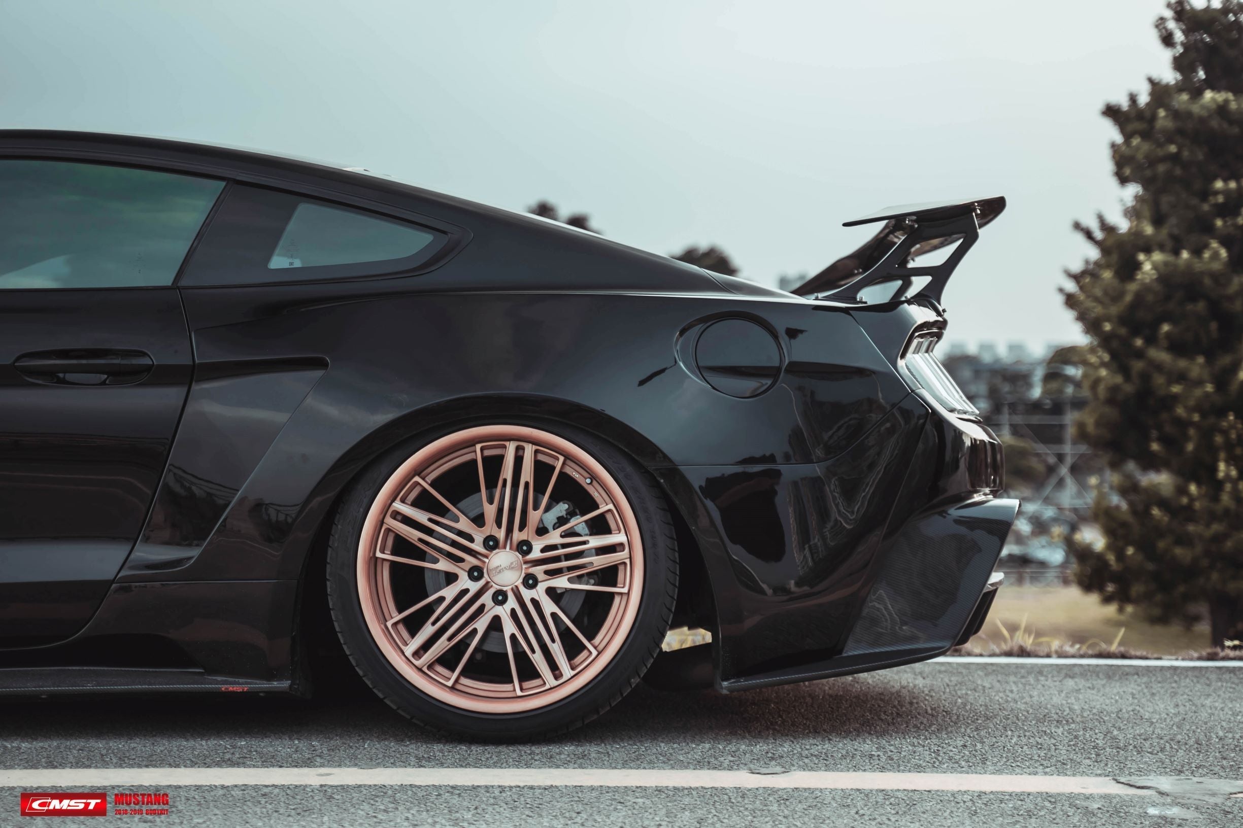 CMST Widebody Front Fenders & Rear Wheel Arches for Ford Mustang S550 ...