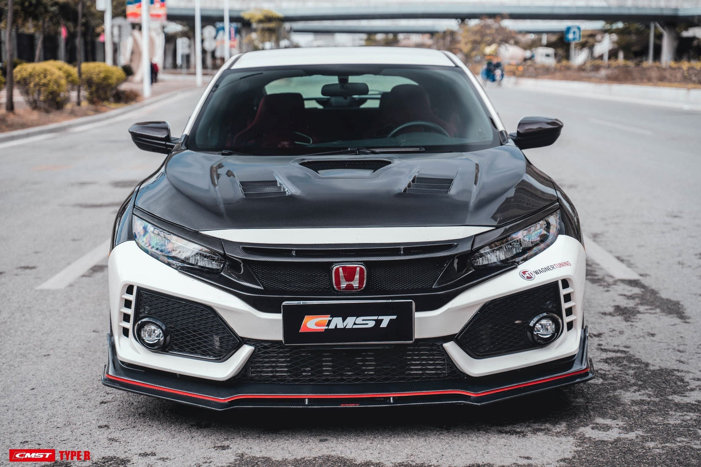 CMST Carbon Fiber Front Grill & Eyelid for Honda FK8 Civic Type-R (201 ...